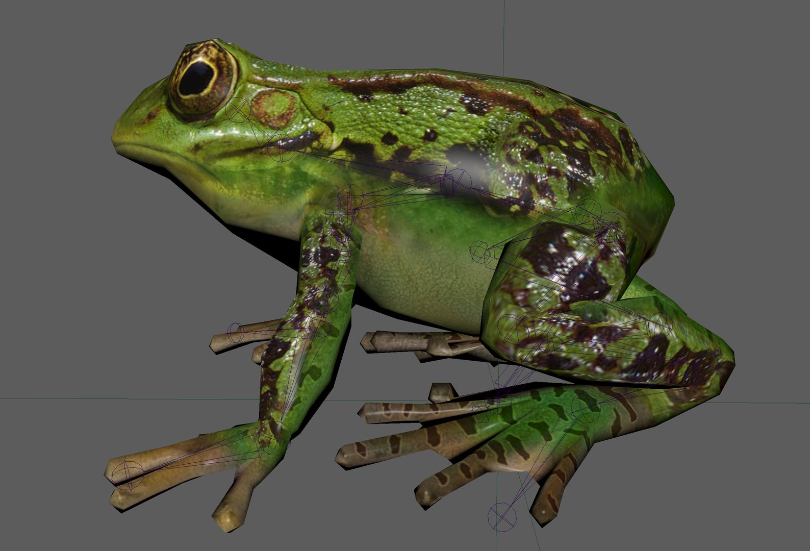 Frog Low Poly Rig 3D Model - TurboSquid 1885410