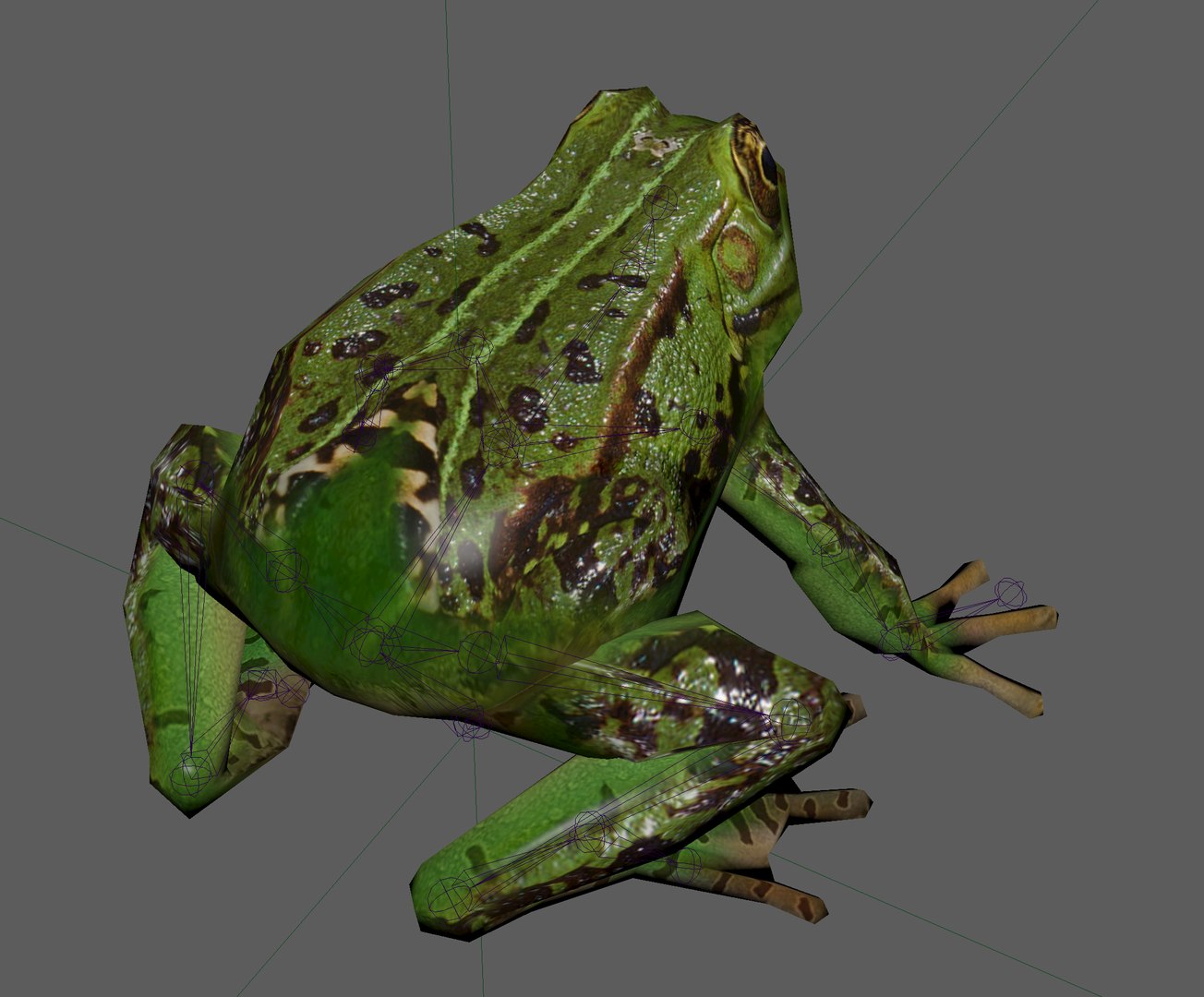Frog Low Poly Rig 3D Model - TurboSquid 1885410