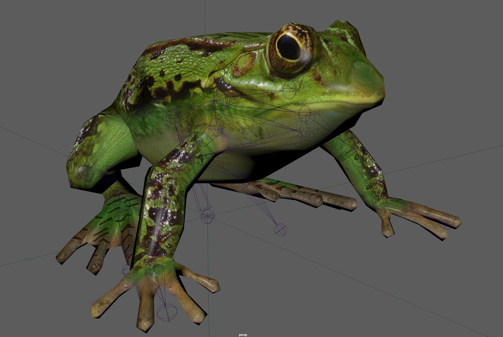 Frog Low Poly Rig 3D Model - TurboSquid 1885410
