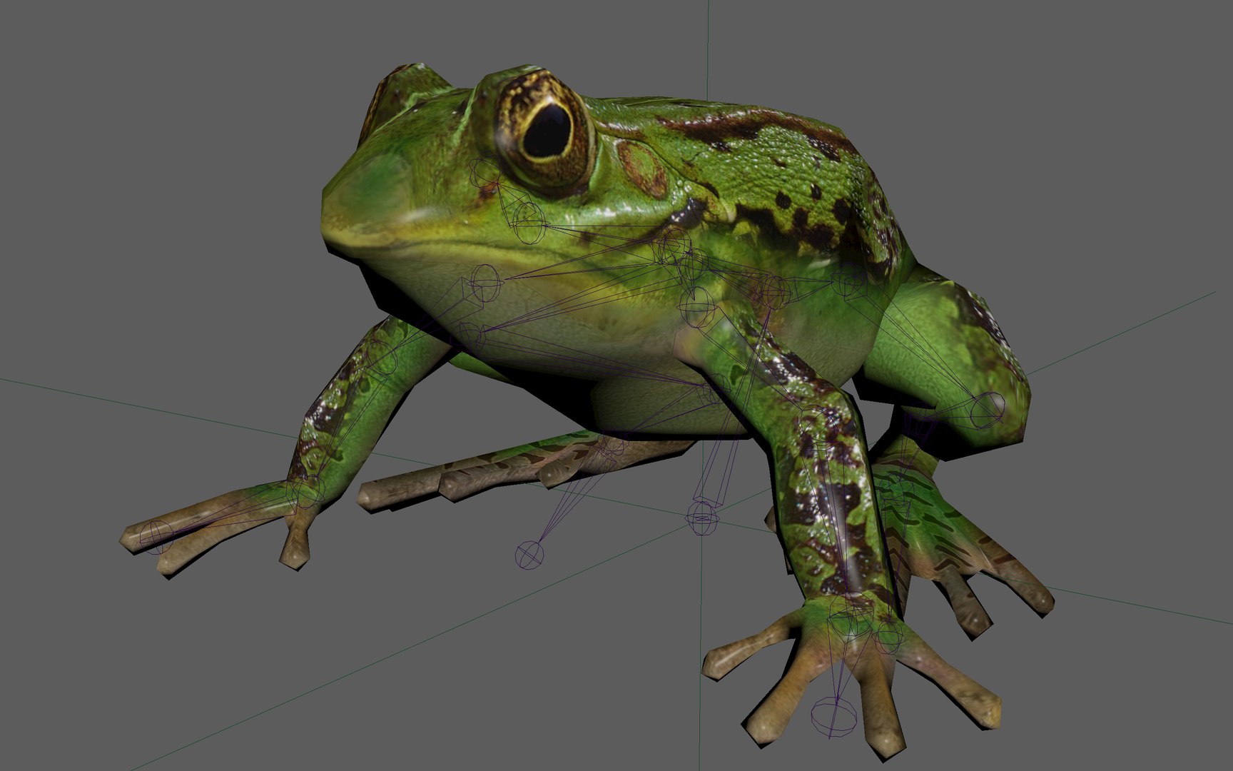 Frog Low Poly Rig 3D Model - TurboSquid 1885410