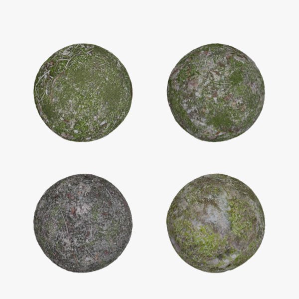 Moss 3D Models for Download | TurboSquid