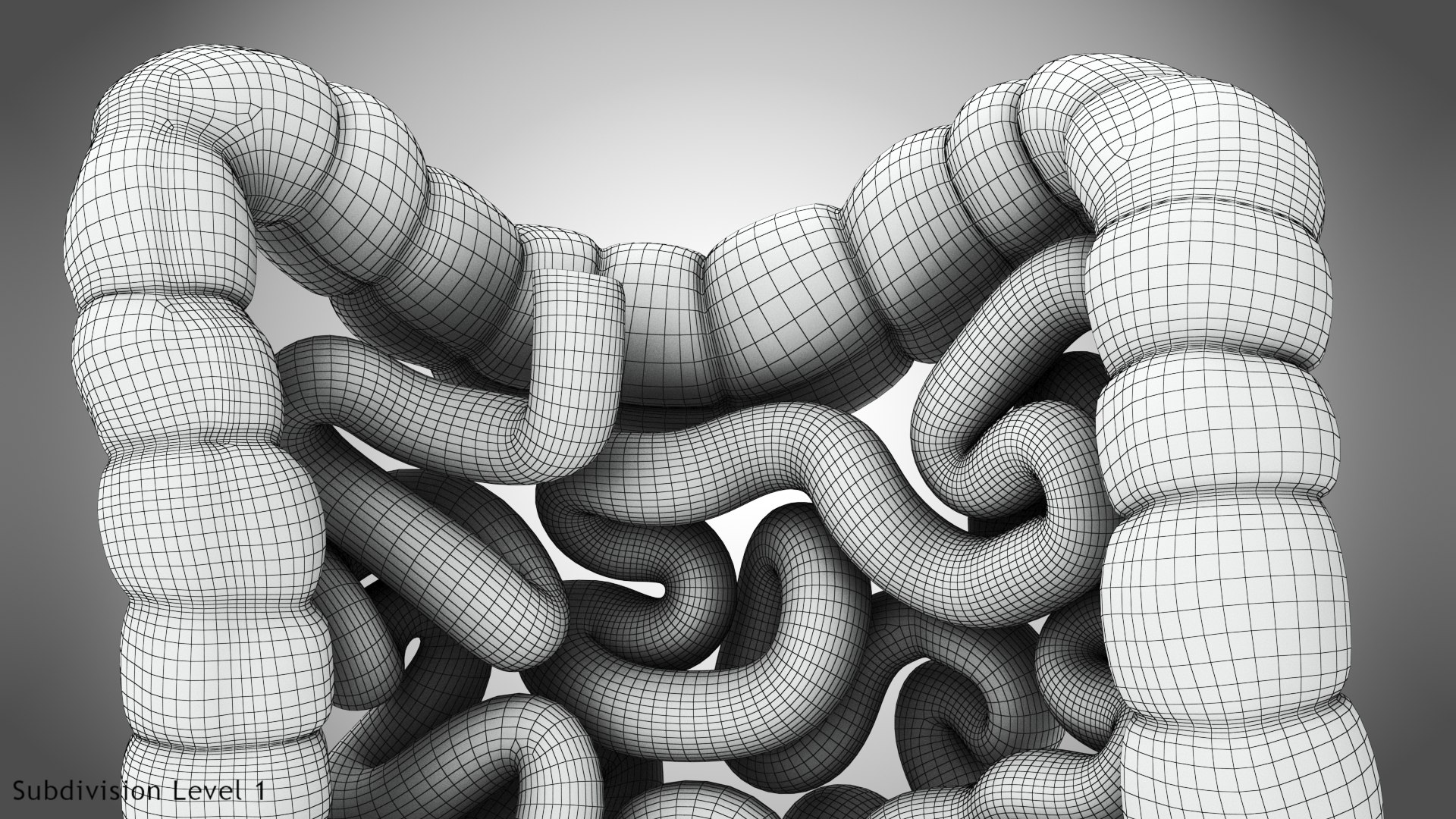 Large and Small Intestines 3D model - TurboSquid 1848066