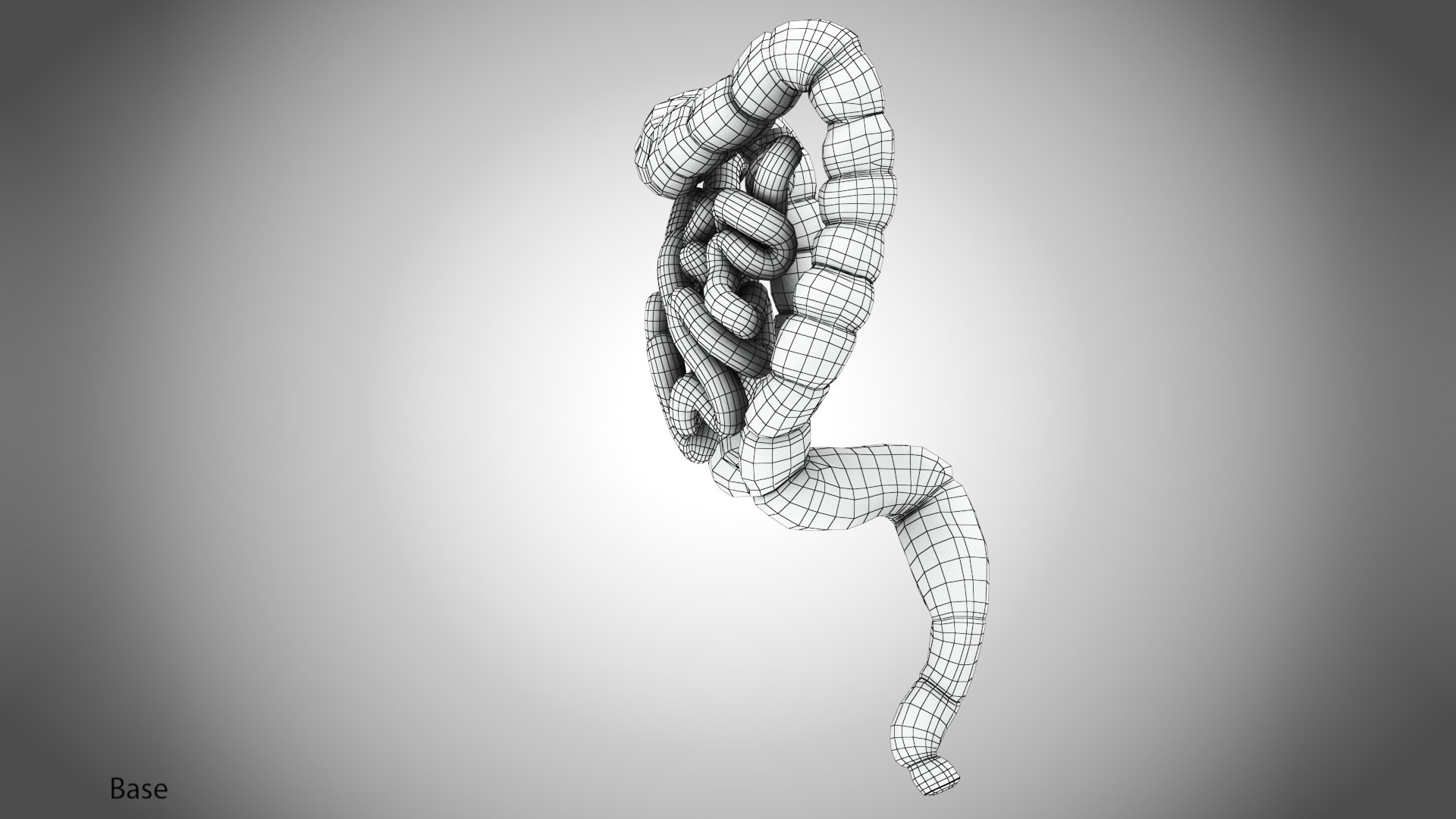 Large and Small Intestines 3D model - TurboSquid 1848066