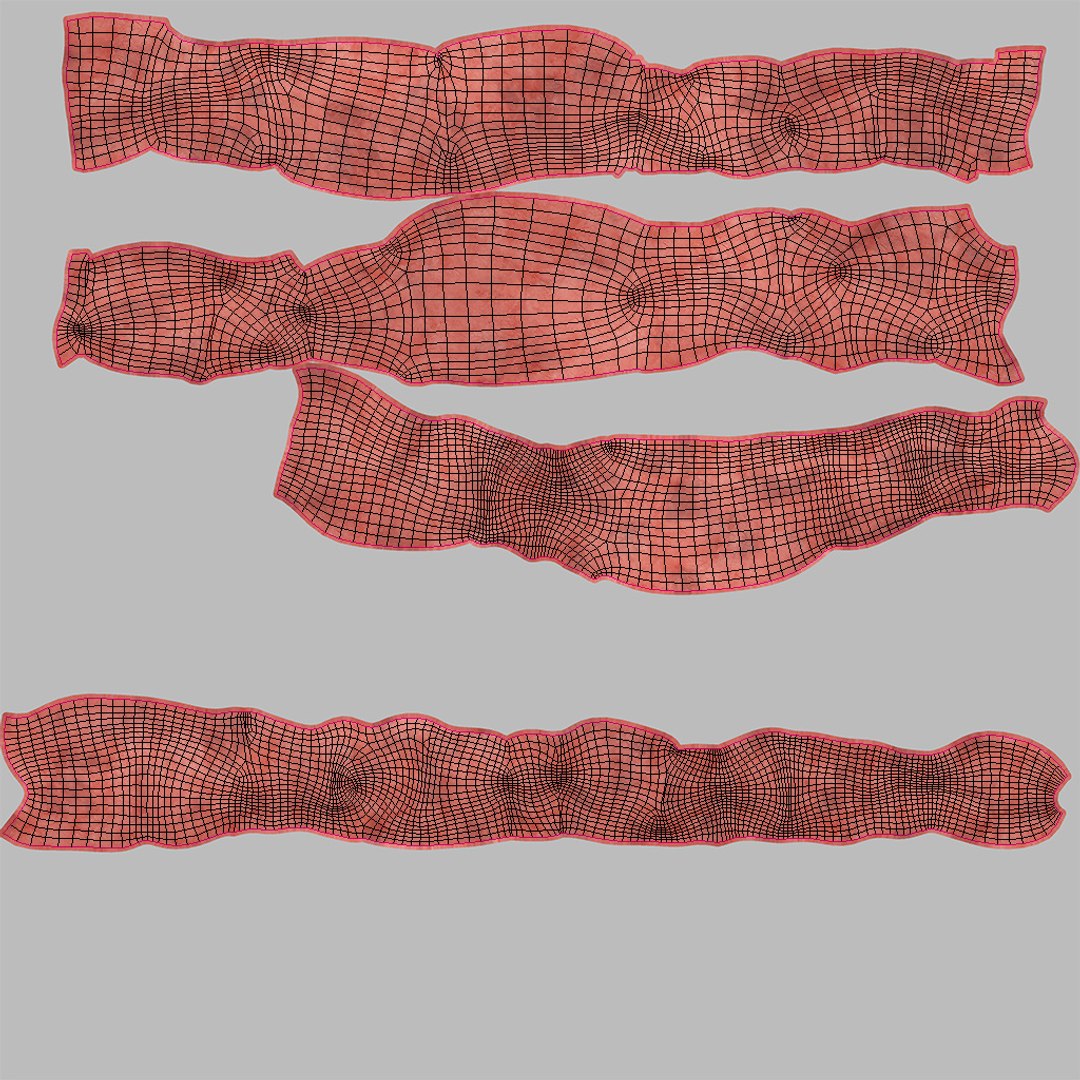 Large and Small Intestines 3D model - TurboSquid 1848066
