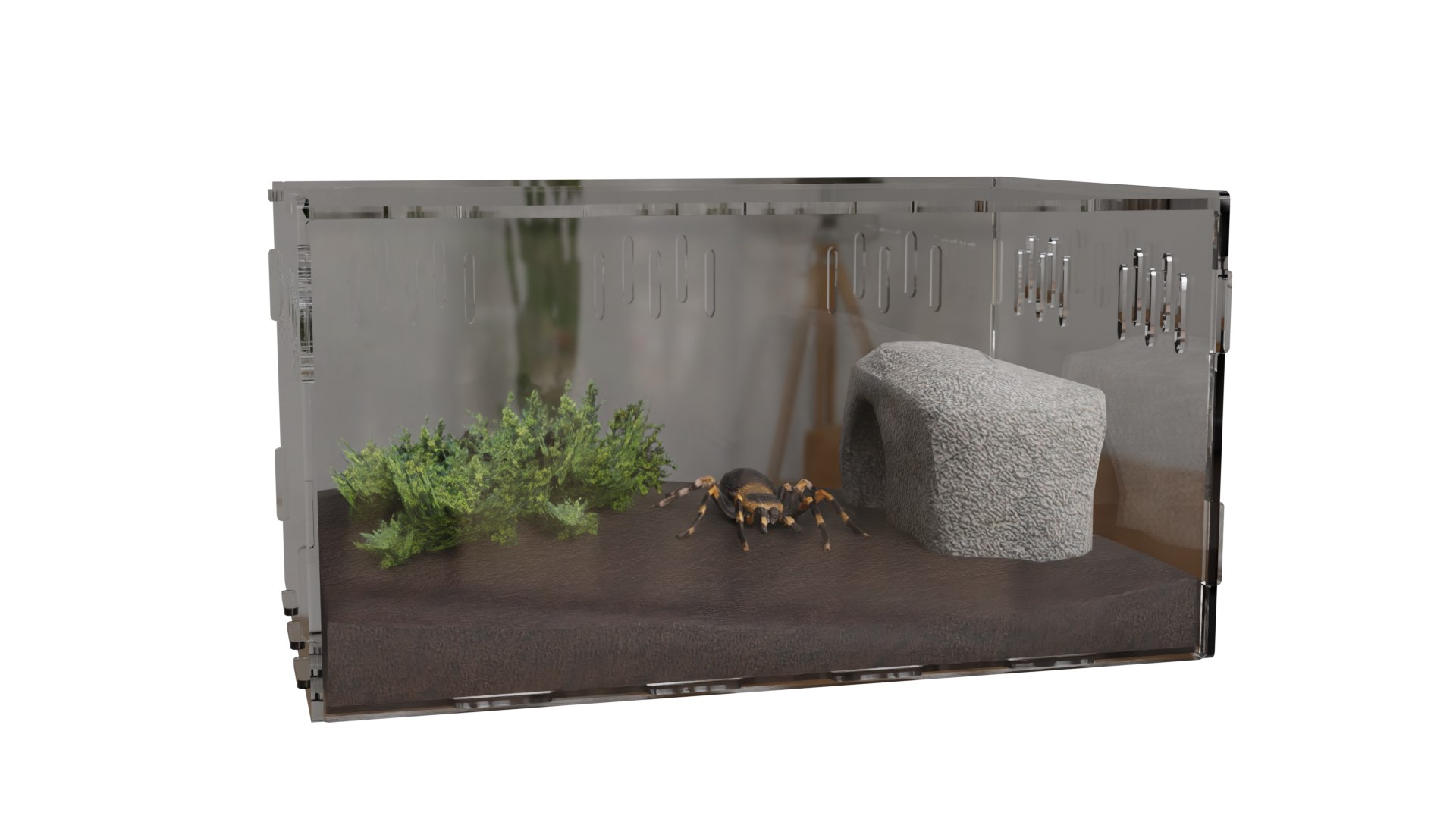 Reptile Box Model - TurboSquid 2252591