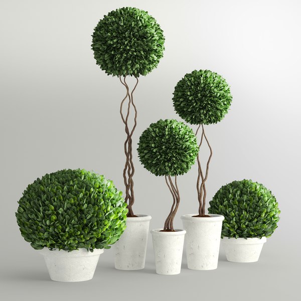 3d plant model