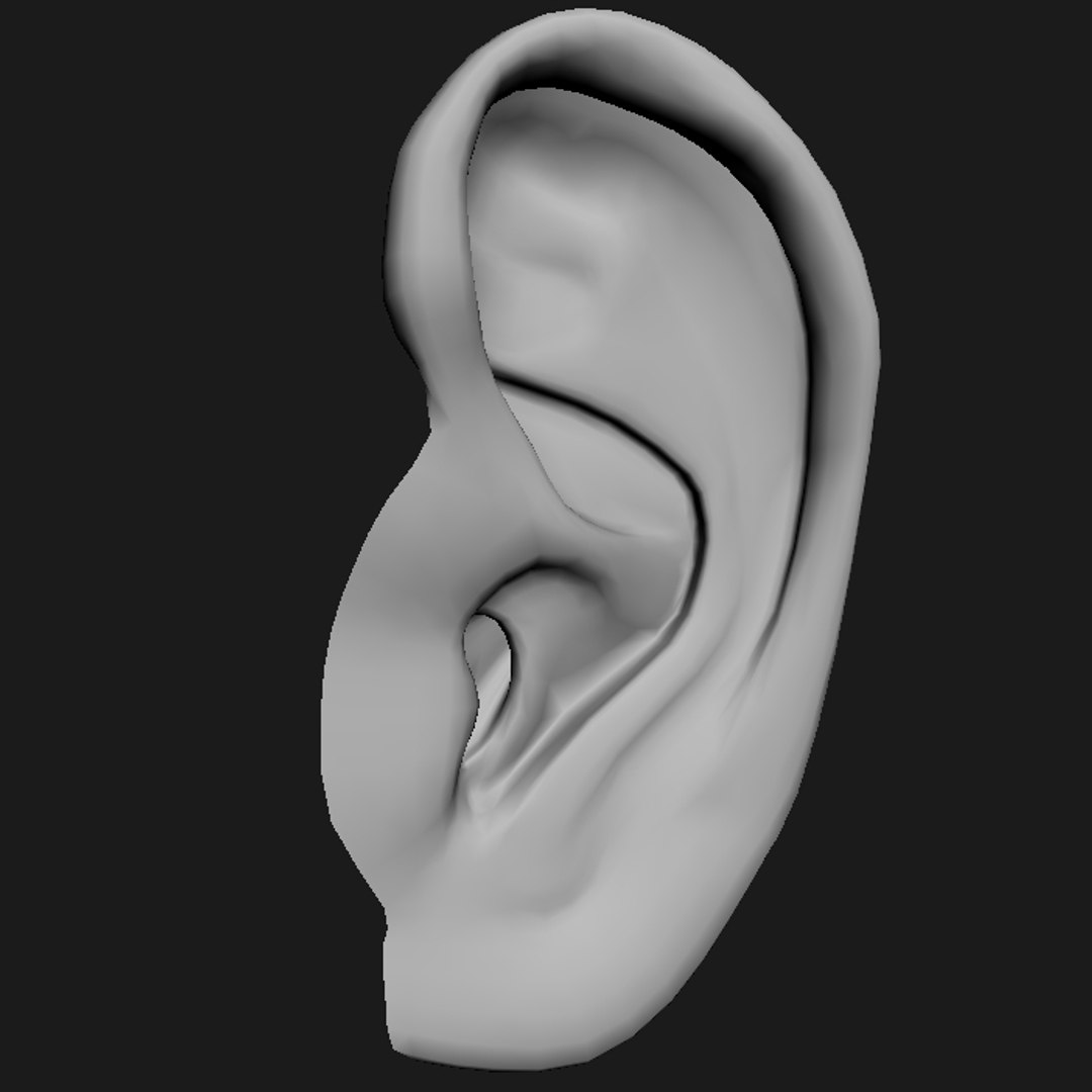 Ear Head Max