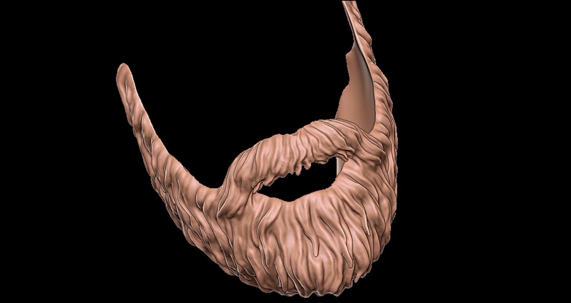 Beard 3D model - TurboSquid 1584602