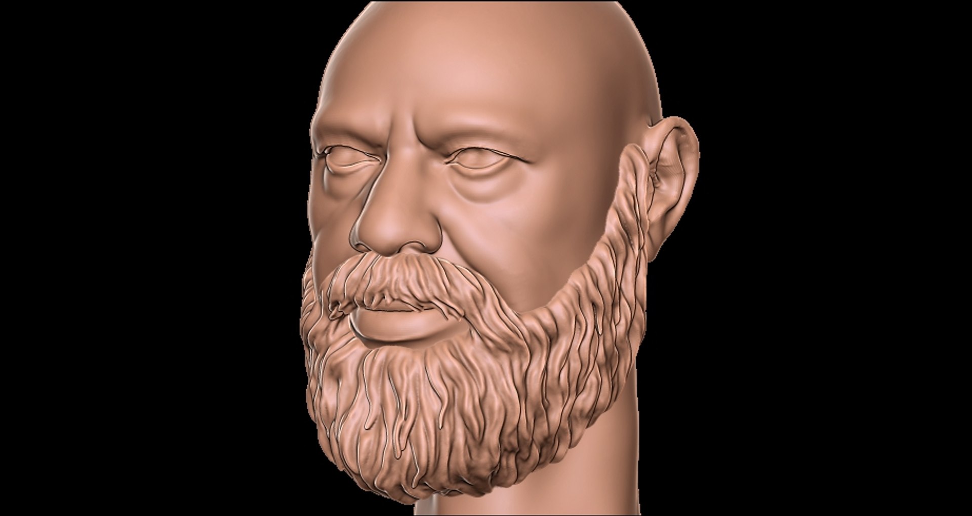 Beard 3D model - TurboSquid 1584602