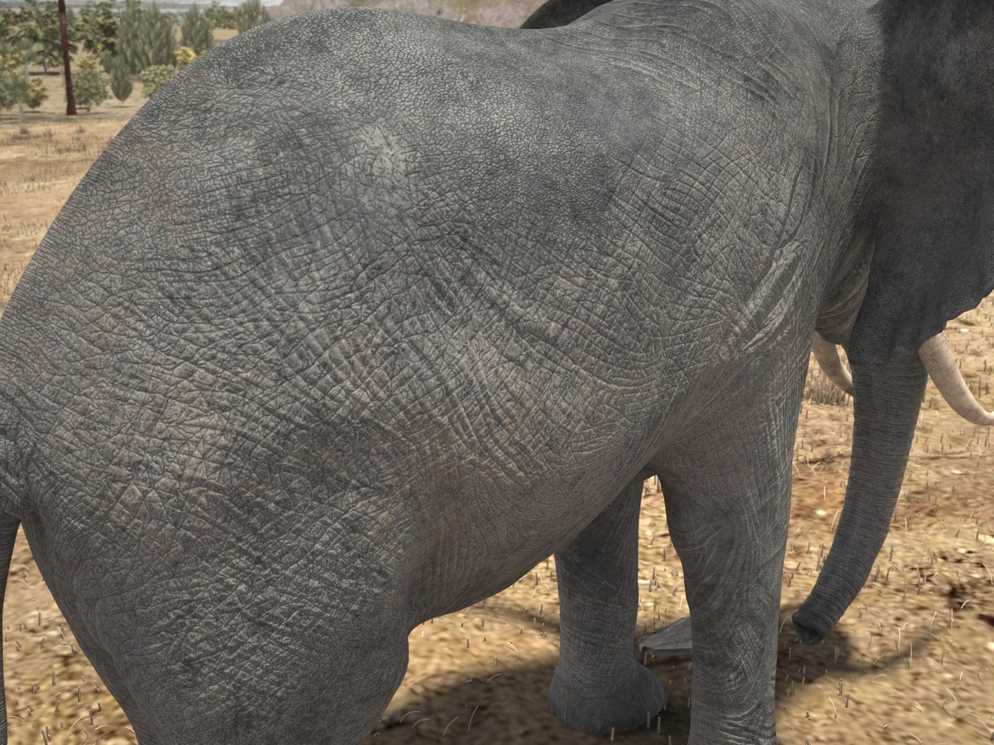 3d Rigged African Elephant