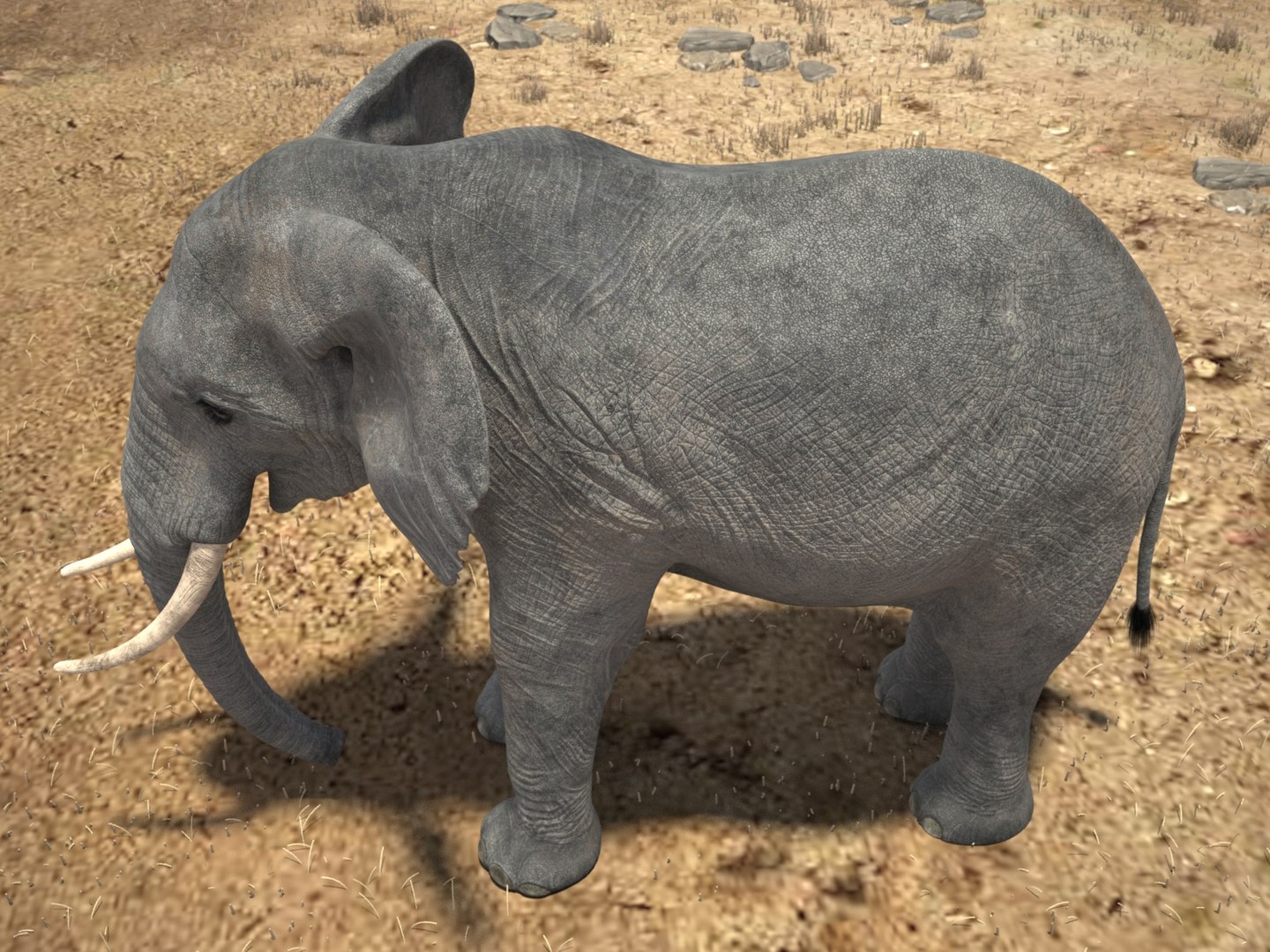 3d Rigged African Elephant