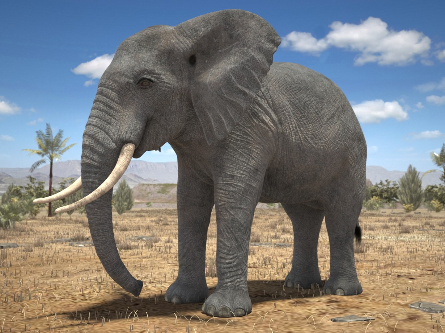 3d Rigged African Elephant