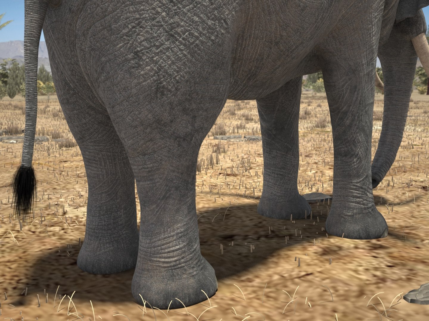 3d Rigged African Elephant