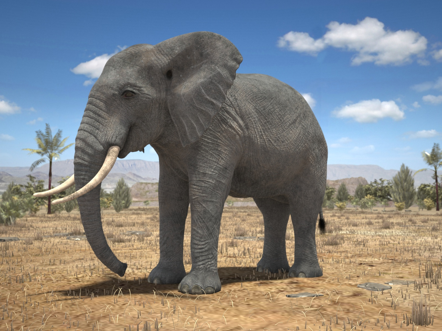 3d Rigged African Elephant