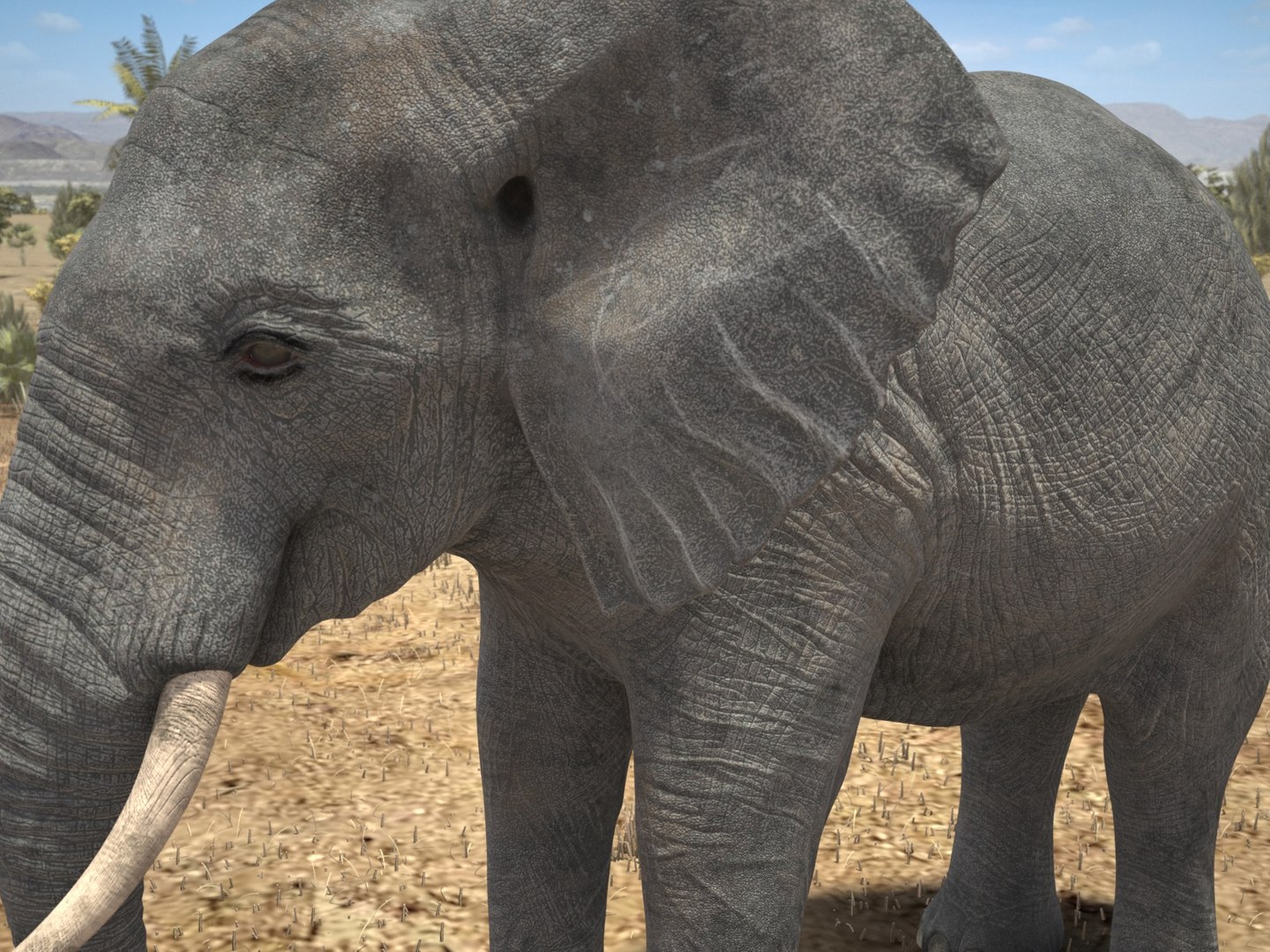 3d Rigged African Elephant