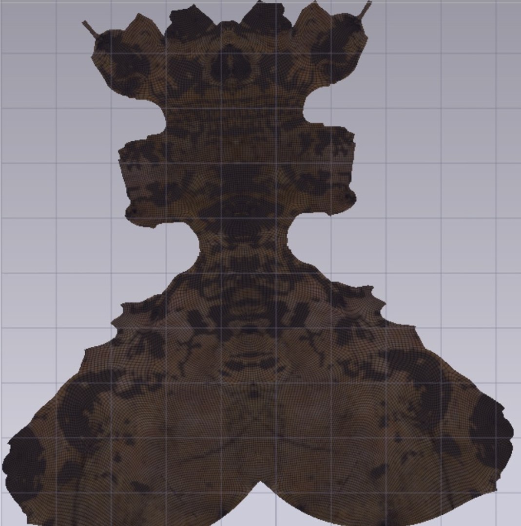 Skull Human Skul Obj