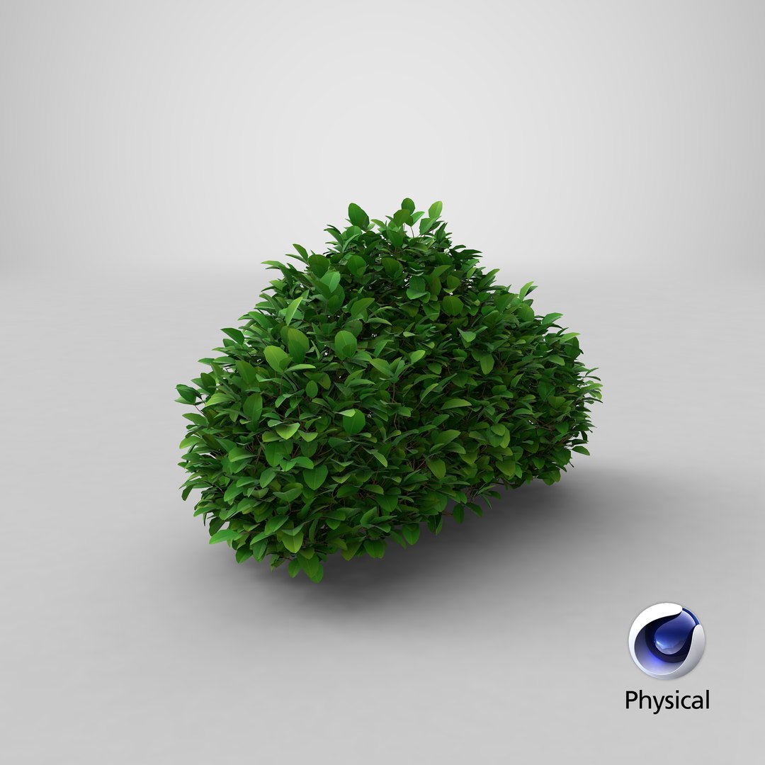 3D Model Cartoon Bush 13 - TurboSquid 1941434