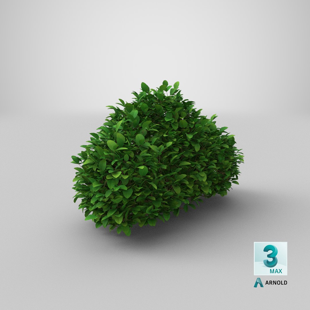 3D Model Cartoon Bush 13 - TurboSquid 1941434