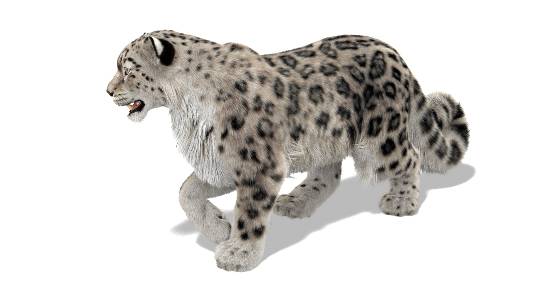 3D Snow Leopard Furry Fur Animal - TurboSquid 1429597