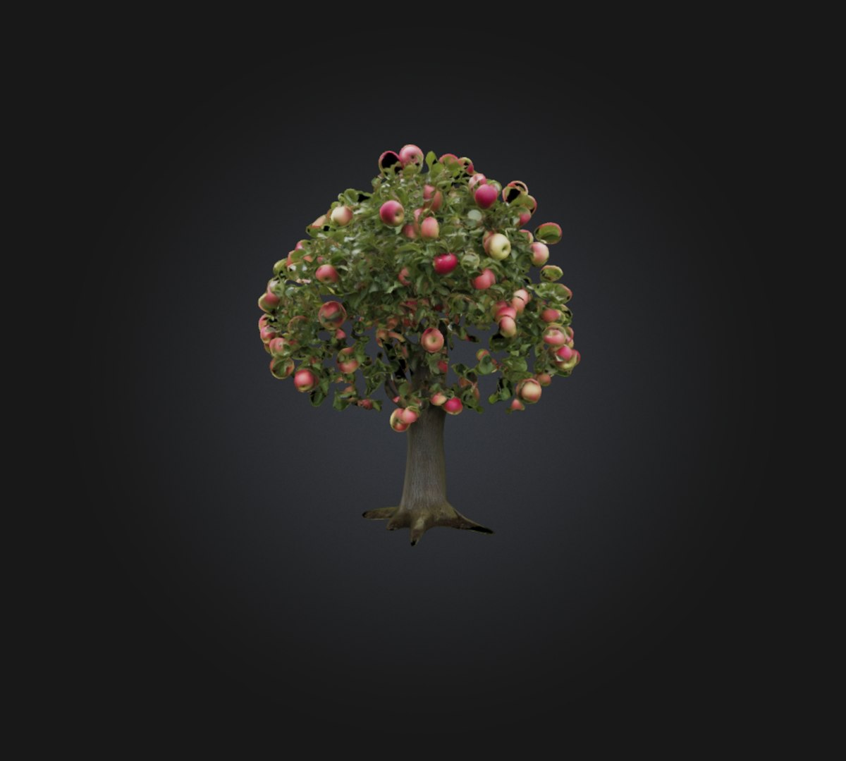 Apple Tree 3D Model - TurboSquid 2284825