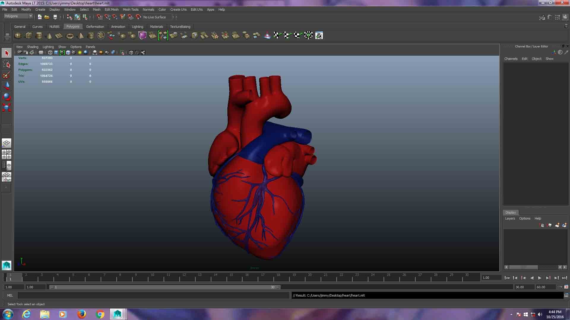 3d Model Human Heart