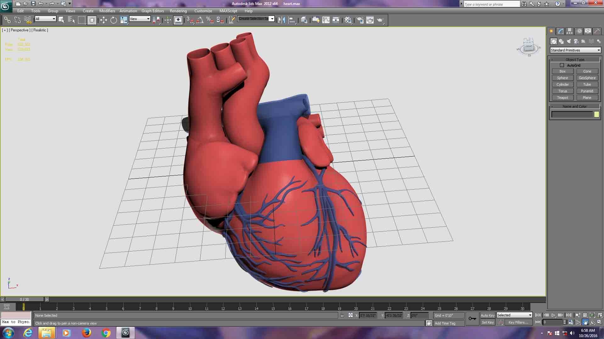 3d Model Human Heart