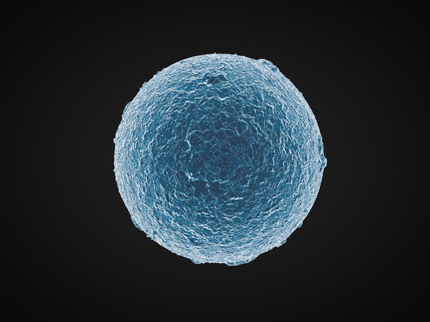 3D Ovum Sperm - TurboSquid 1379227
