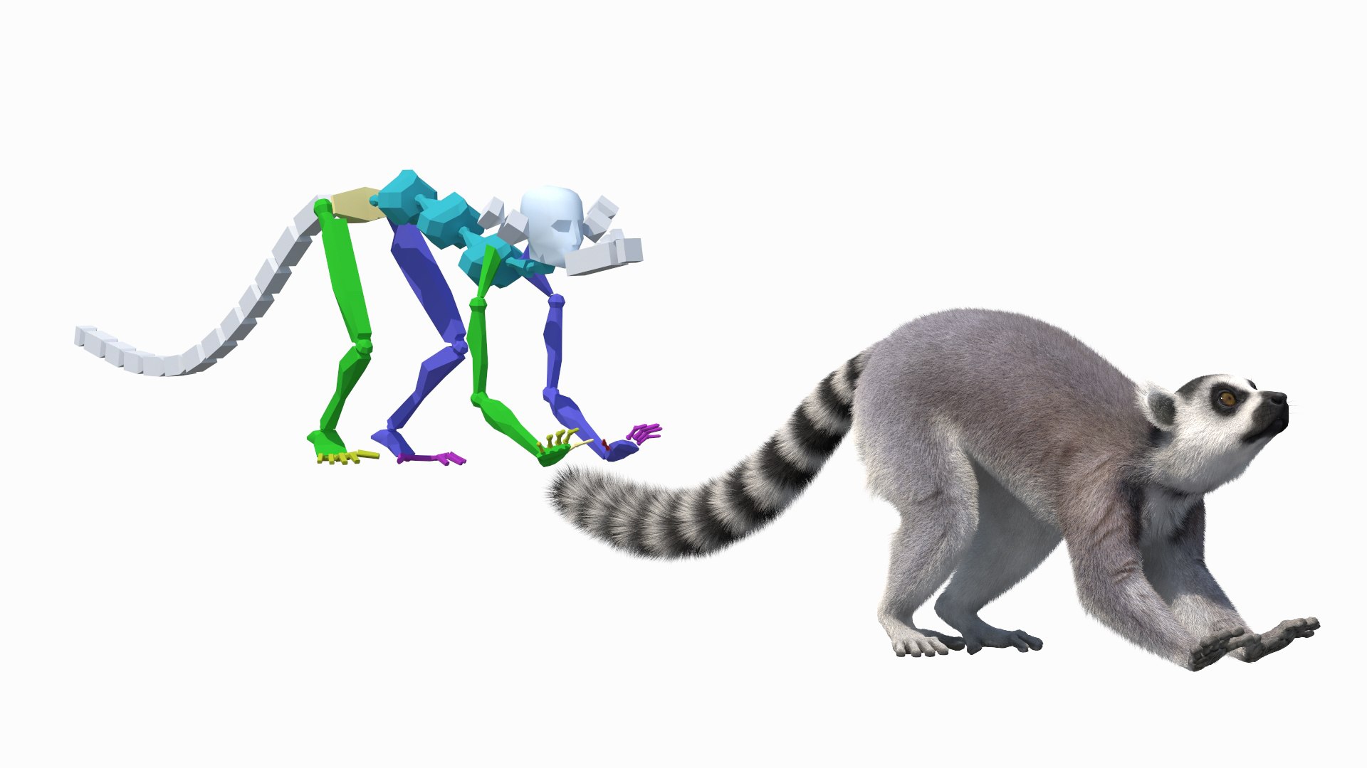 3D Lemures Fur Rigged - TurboSquid 2194763