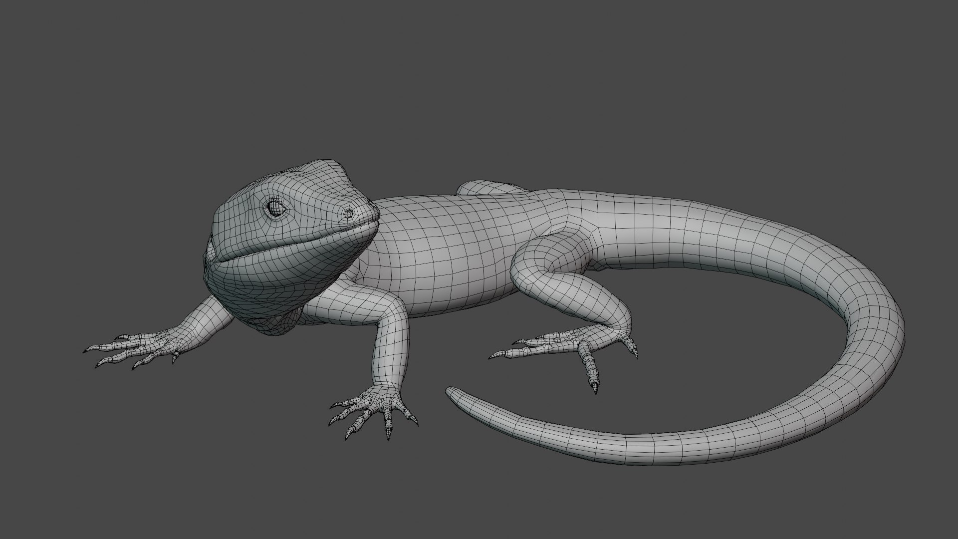 3D Green Lizard | Podarcis Sicula - TurboSquid 1732011