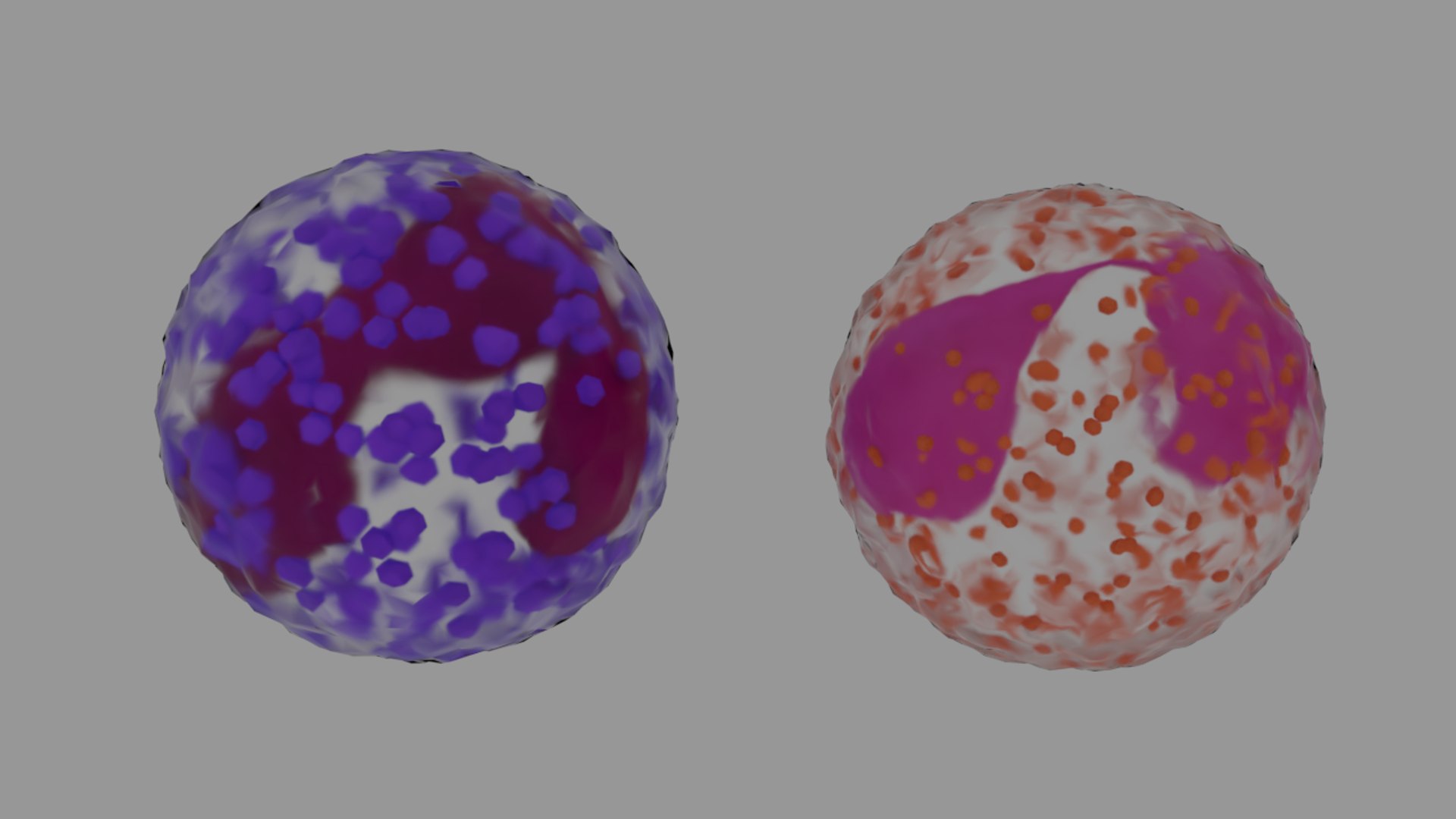 3D Bloodstream Blood Cells Model - TurboSquid 1367773