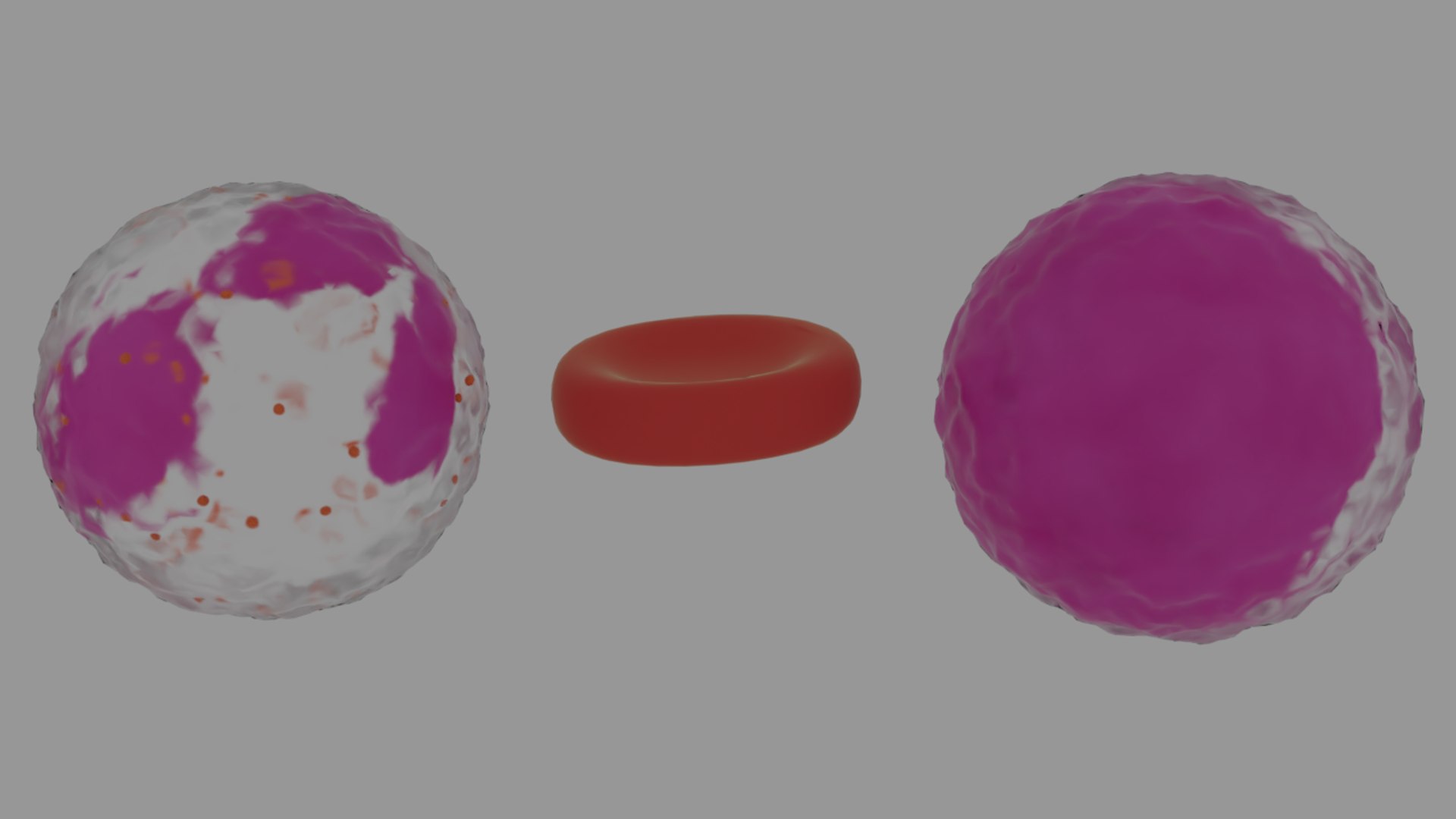 3D Bloodstream Blood Cells Model - TurboSquid 1367773
