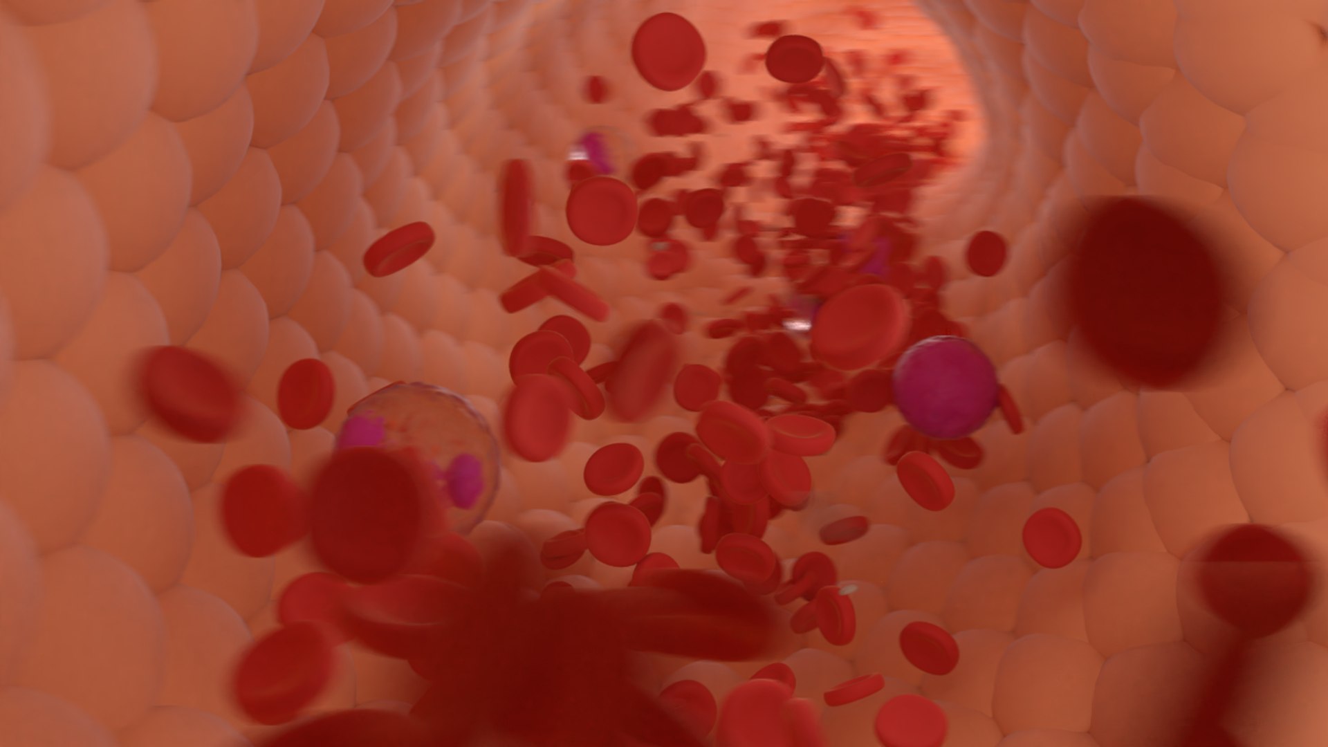 3D Bloodstream Blood Cells Model - TurboSquid 1367773