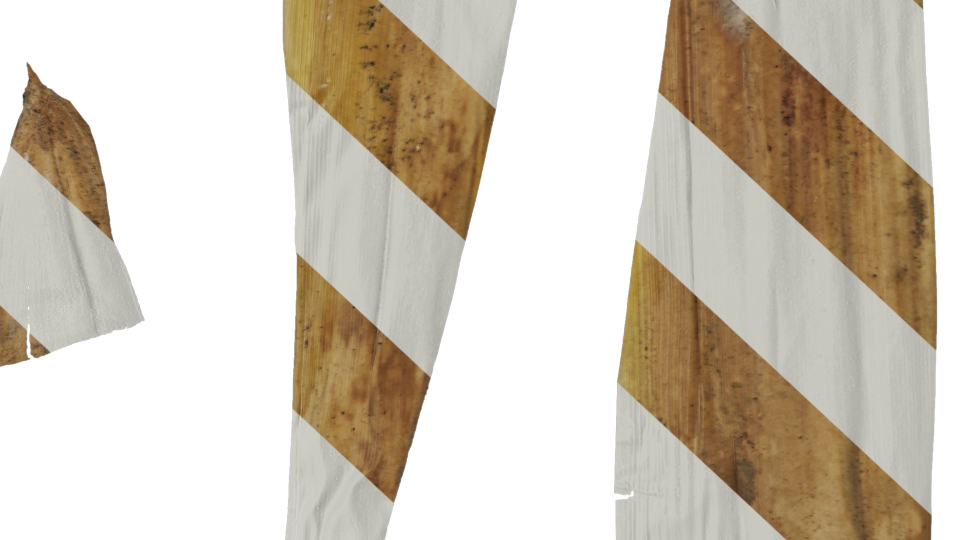 3D Anydrafts Sasa Pygmaea Leaf Sheath 01 Textures - TurboSquid 2345489