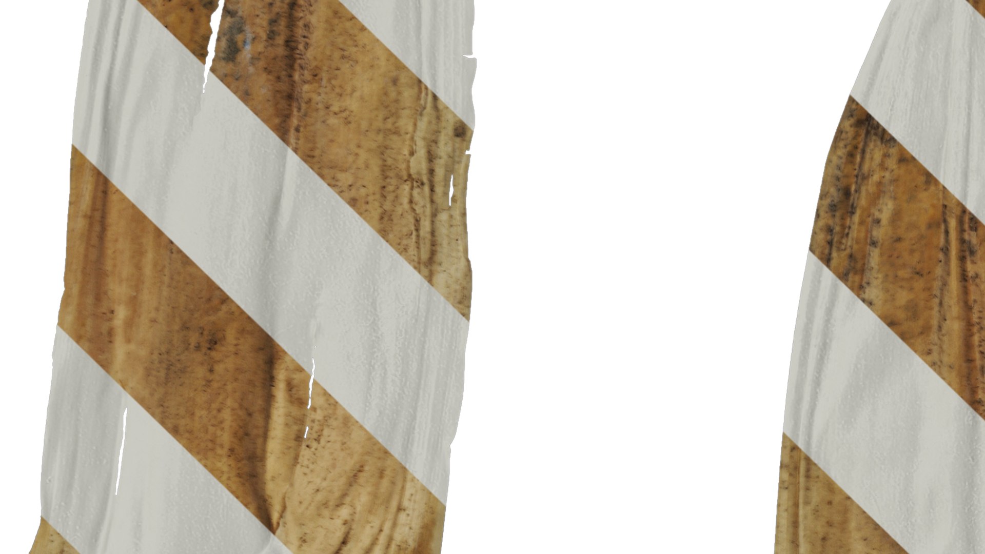 3D Anydrafts Sasa Pygmaea Leaf Sheath 01 Textures - TurboSquid 2345489