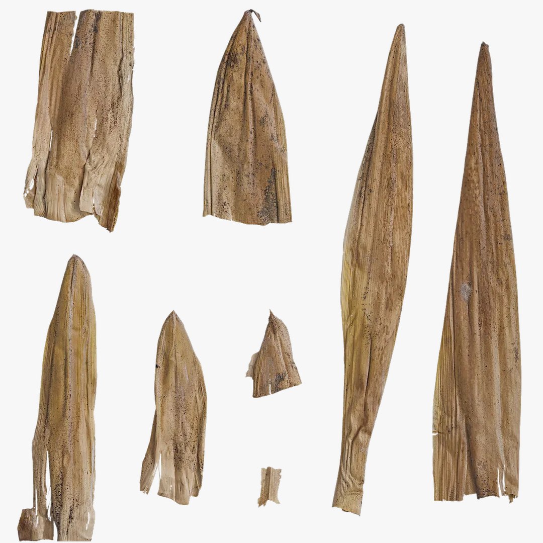 3D Anydrafts Sasa Pygmaea Leaf Sheath 01 Textures - TurboSquid 2345489