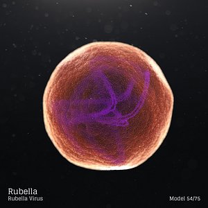 Rubella 3D Models for Download | TurboSquid
