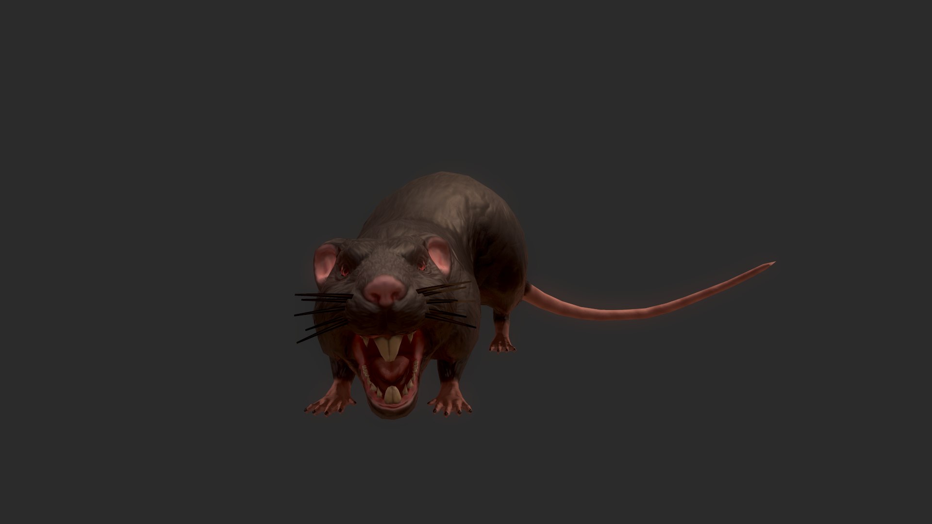 Rat stylized 3D - TurboSquid 1510943