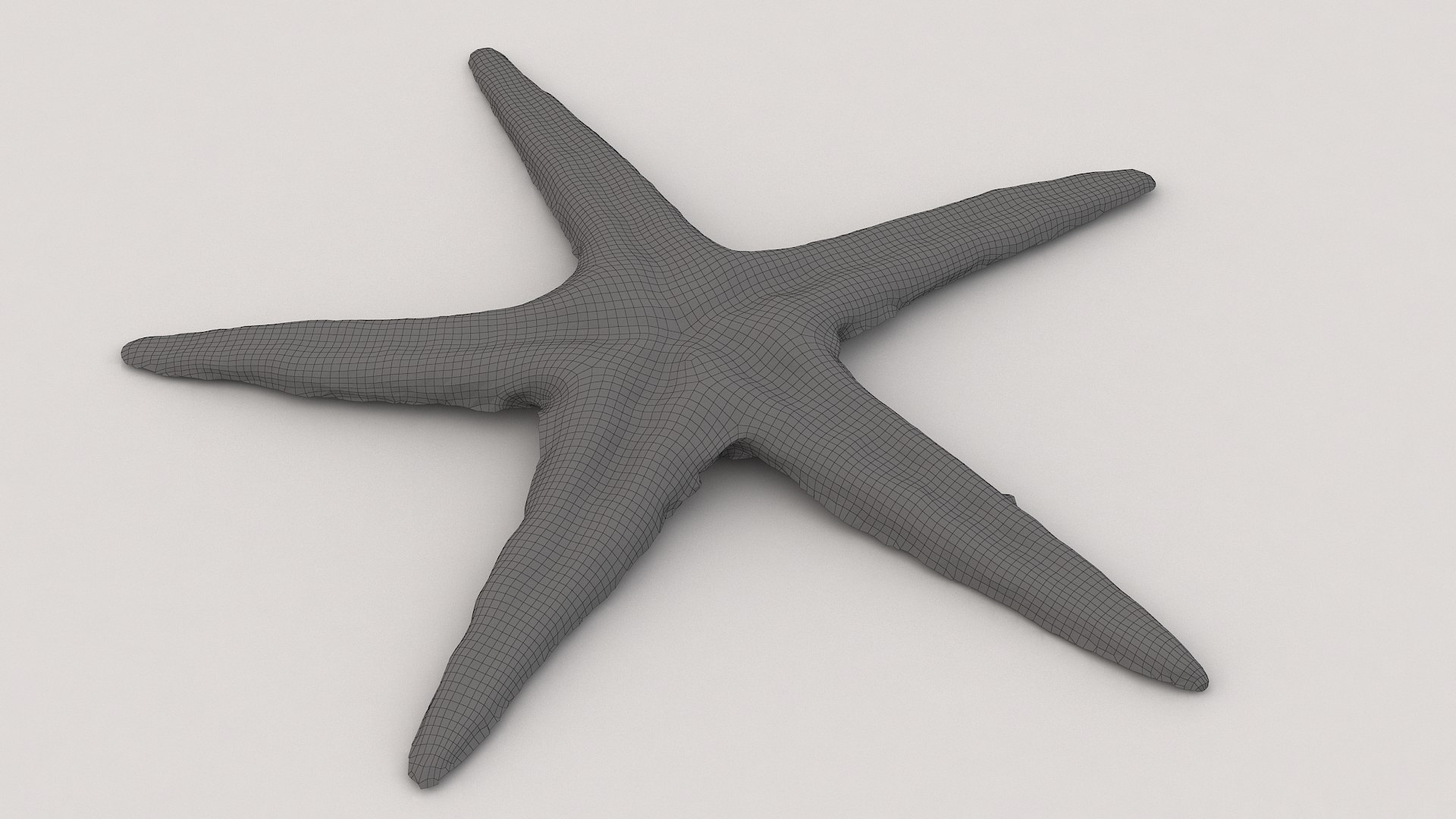 Starfish Games 3D Model - TurboSquid 1439349