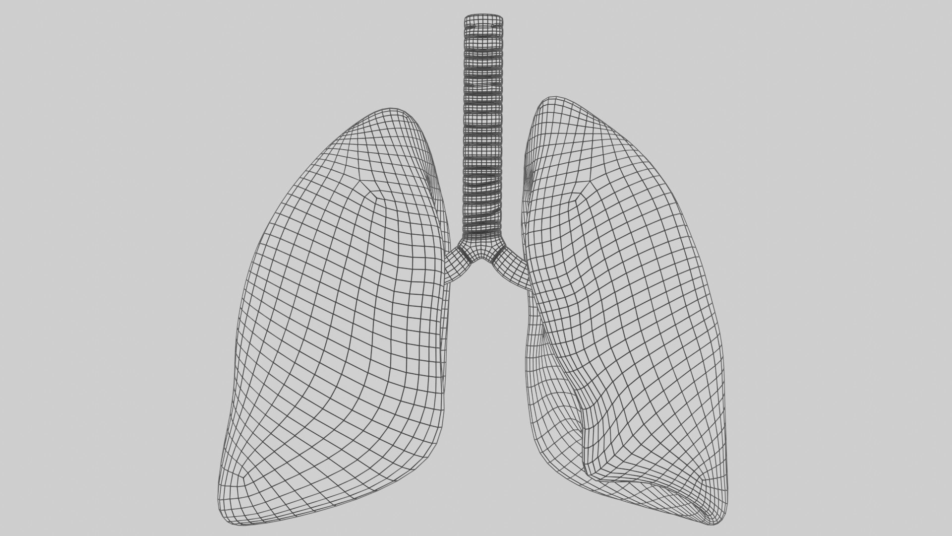 Realistic Rigged Human 3D Model - TurboSquid 1669737