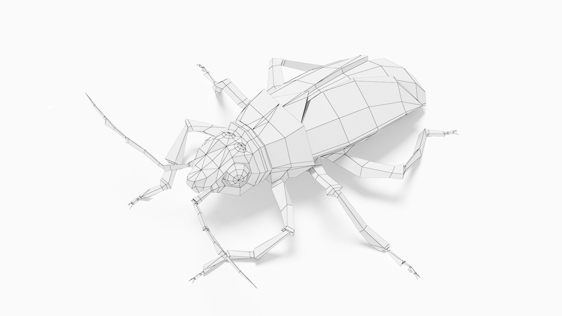 3D Bug Model - TurboSquid 1941347