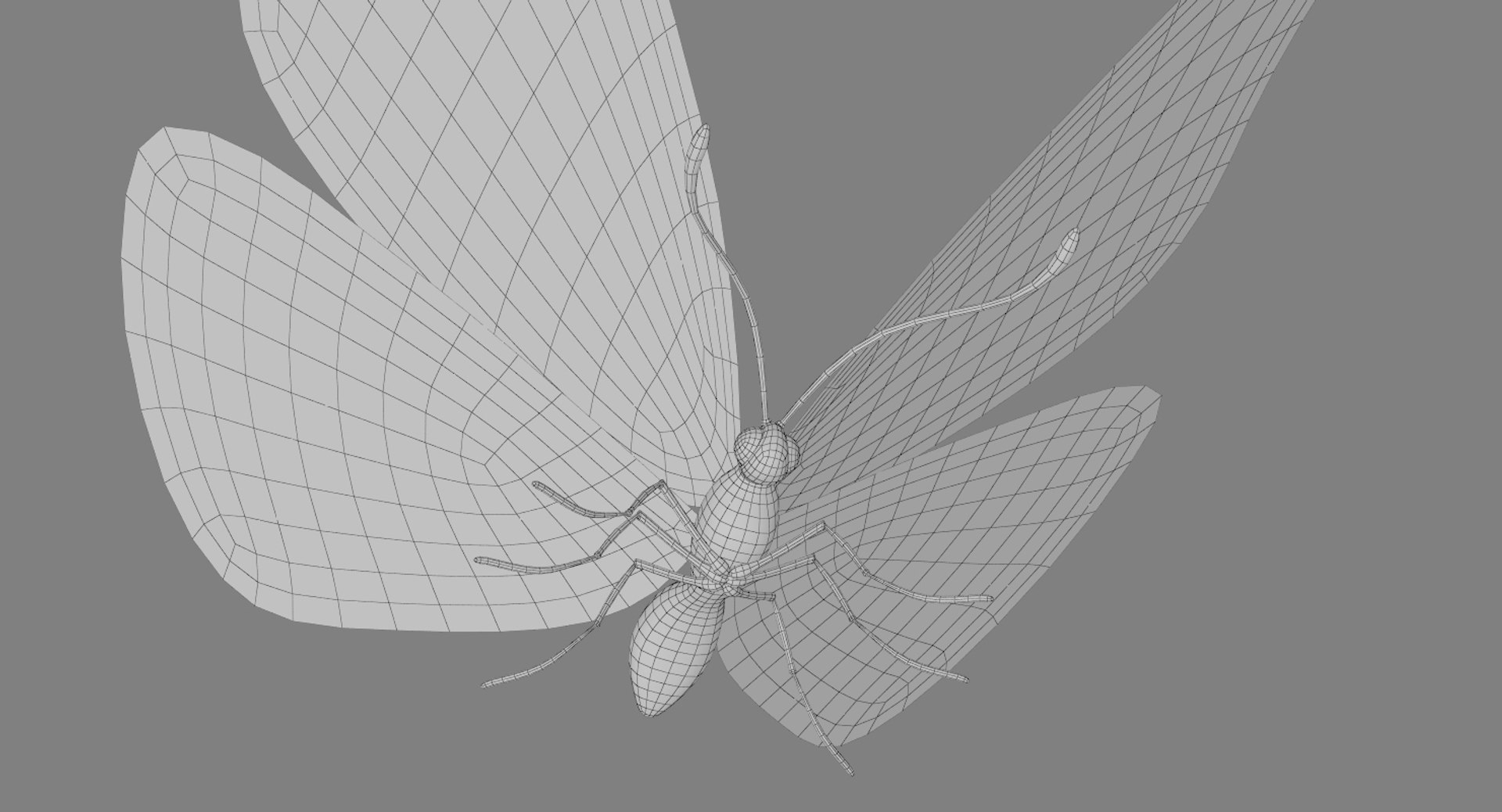 Beautiful Butterfly Cartoon 3d Max