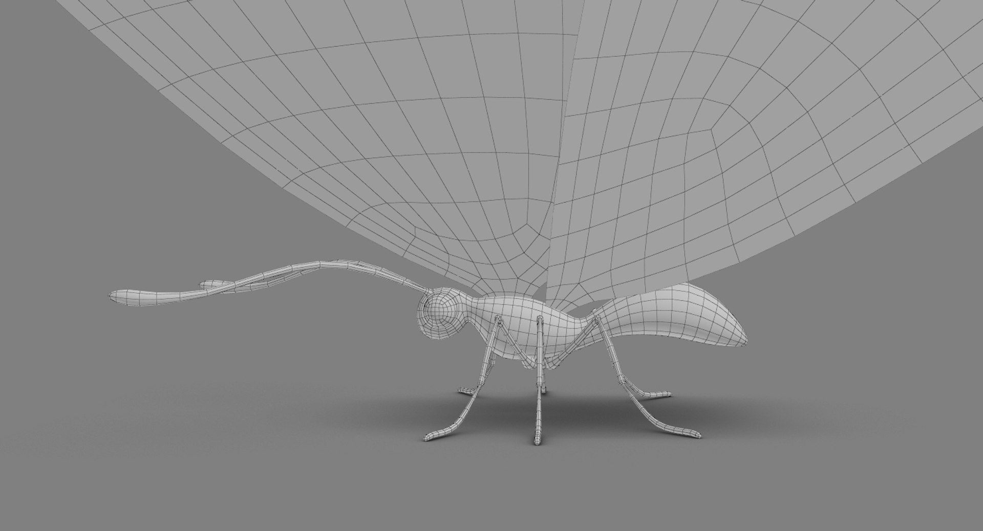 Beautiful Butterfly Cartoon 3d Max