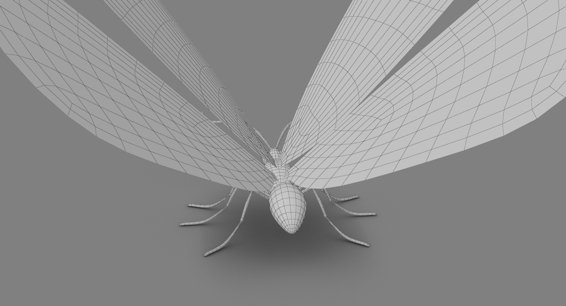 Beautiful Butterfly Cartoon 3d Max