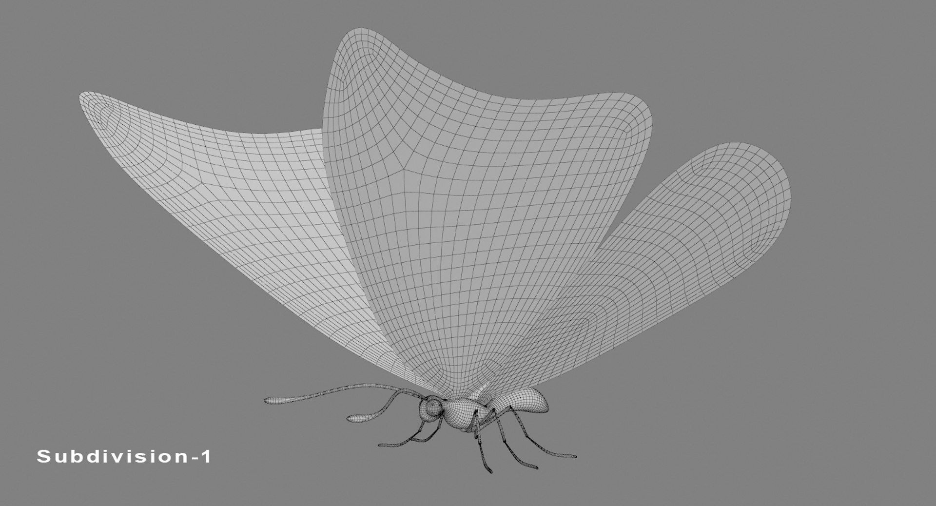 Beautiful Butterfly Cartoon 3d Max