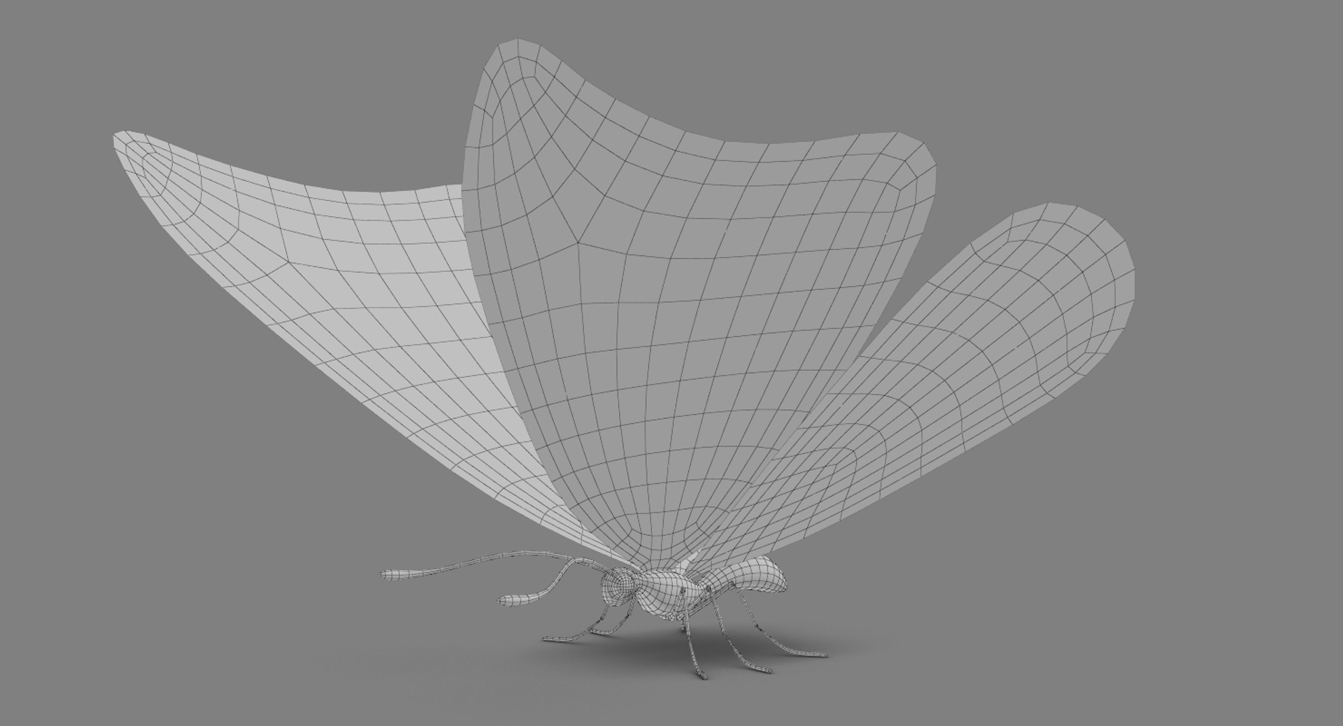 Beautiful Butterfly Cartoon 3d Max