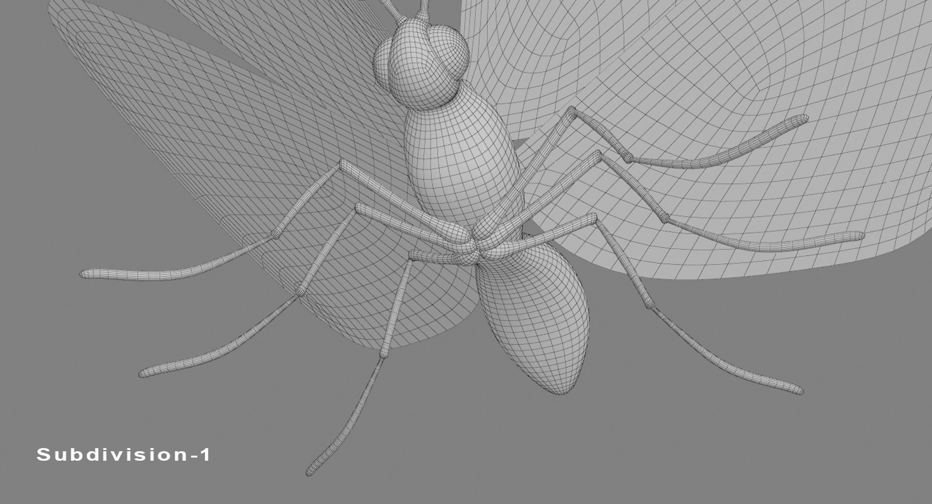 Beautiful Butterfly Cartoon 3d Max