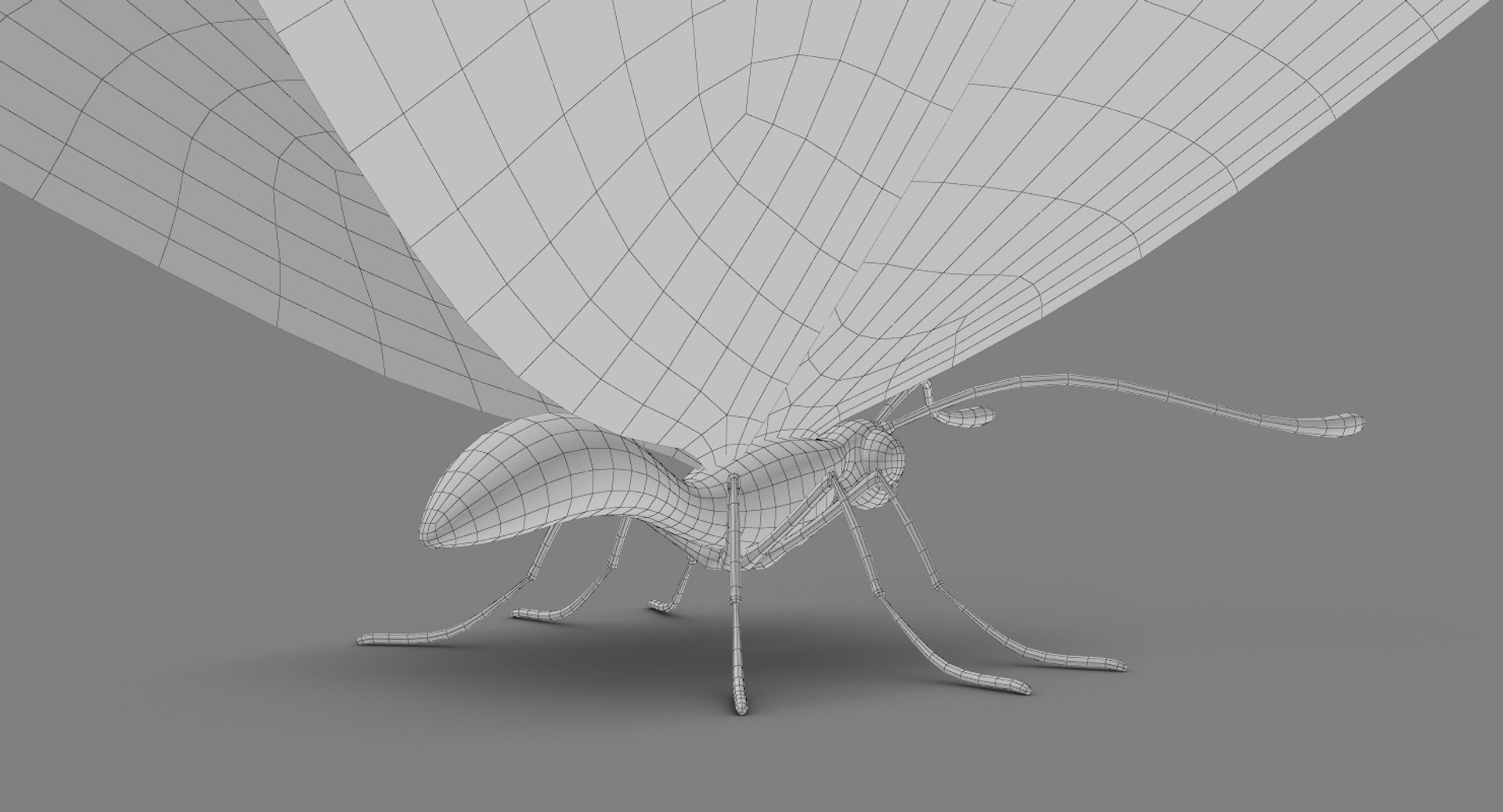 Beautiful Butterfly Cartoon 3d Max