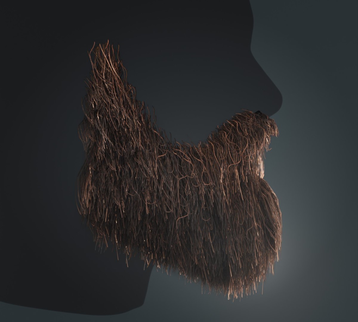 Beard RealTime 19 Version 1 Model - TurboSquid 1892394