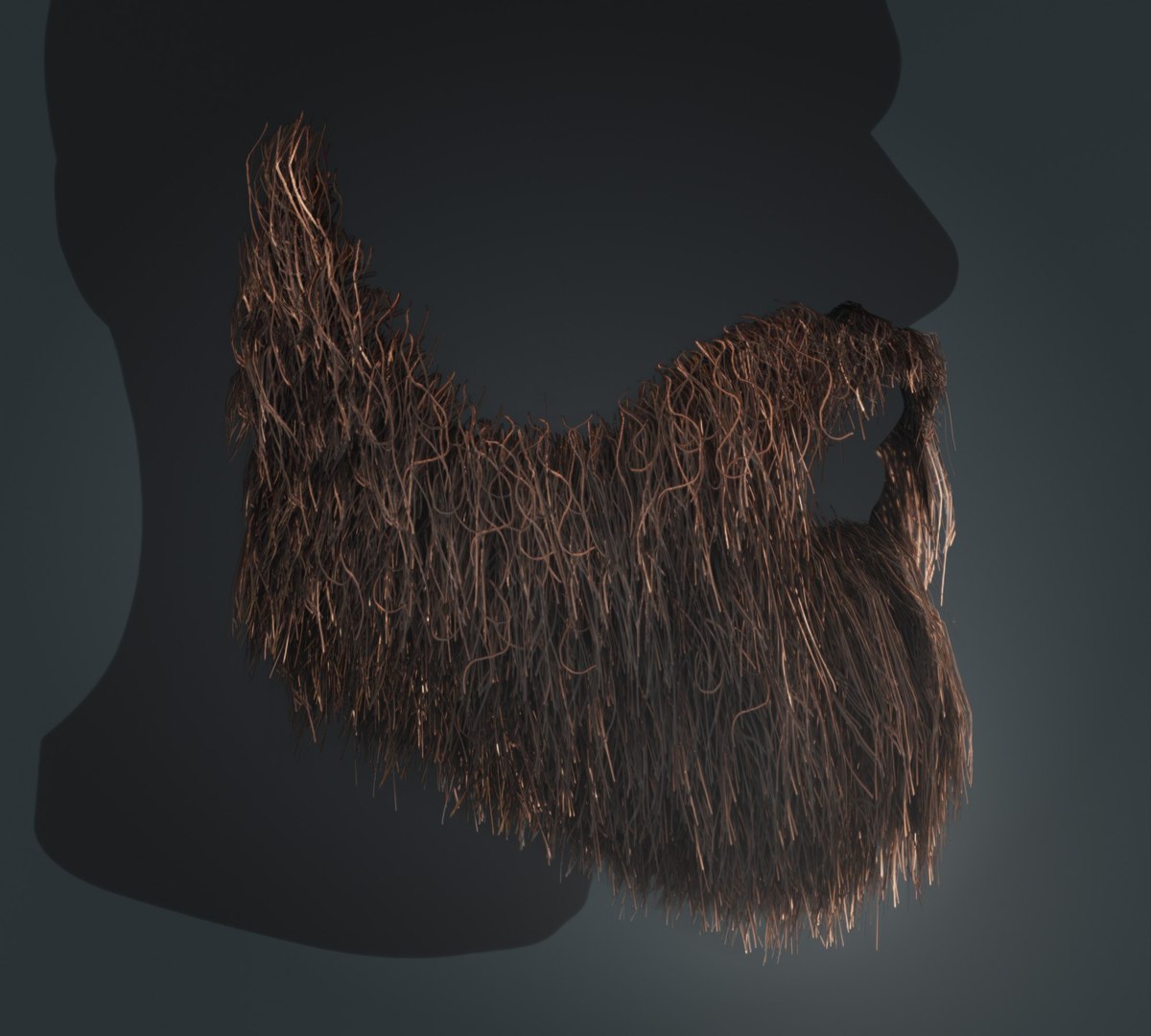 Beard RealTime 19 Version 1 Model - TurboSquid 1892394