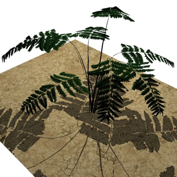 3D 3D Studio plant small natural